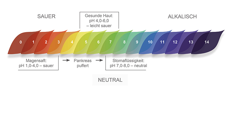 TRE Technologie | Dansac CH